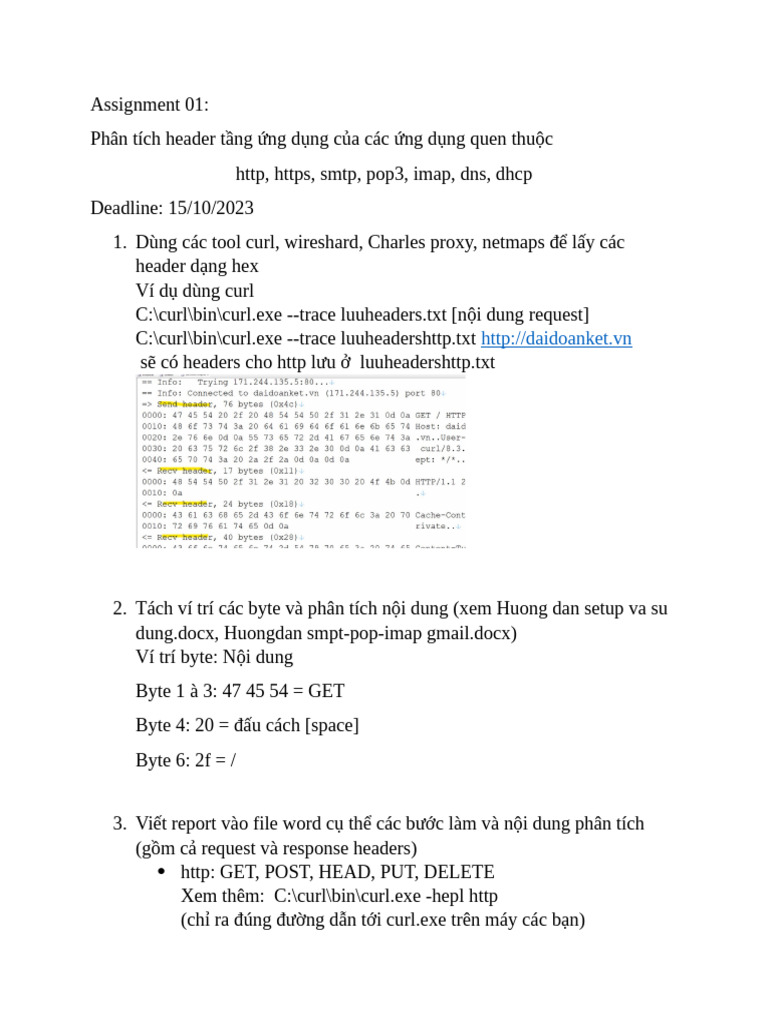 03-Assignment_03 | PDF