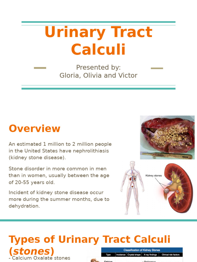 Understanding Urinary Tract Calculi | PDF | Medical Specialties ...