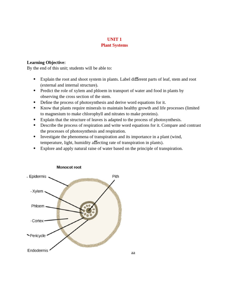 Science Book 7 Unit 1 Root and Shoot System in Plants | PDF | Root | Plants