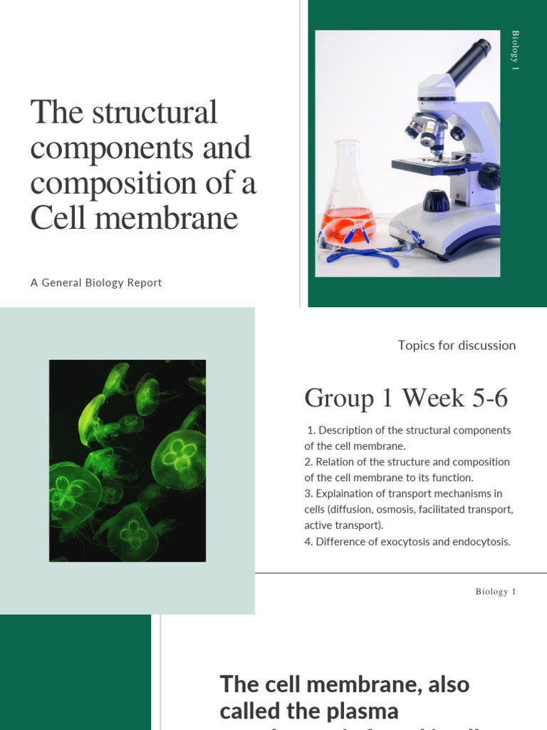 The Structural Components and Composition of A Cell Membrane PDF | PDF ...