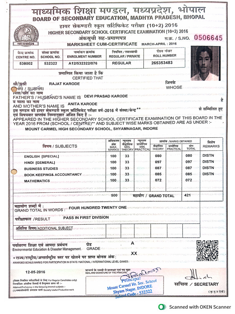 12 th marksheet iimamt | PDF
