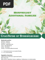 Malvaceae - Family, Classification, Floral Formula and Diagram | PDF | Flowers | Plants
