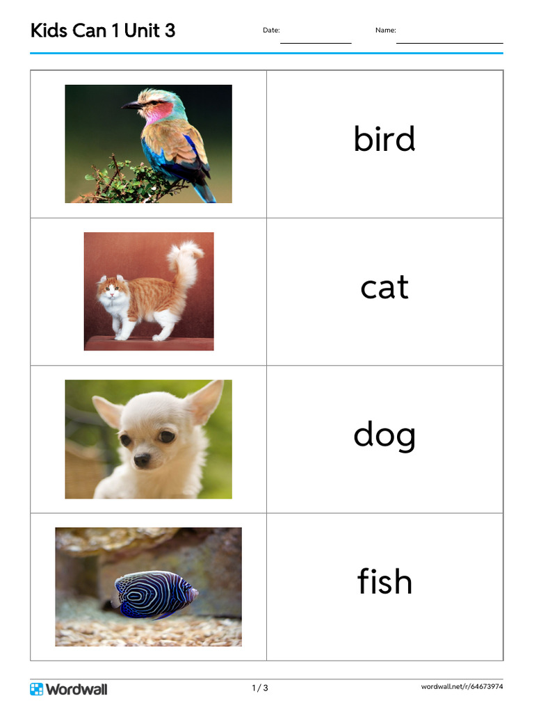 Kids Can 1 Unit 3 Flash Cards | PDF