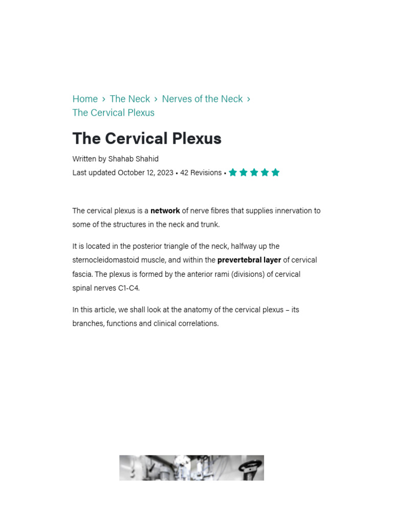 Anatomy and Functions of the Cervical Plexus | PDF | Neck | Vertebra