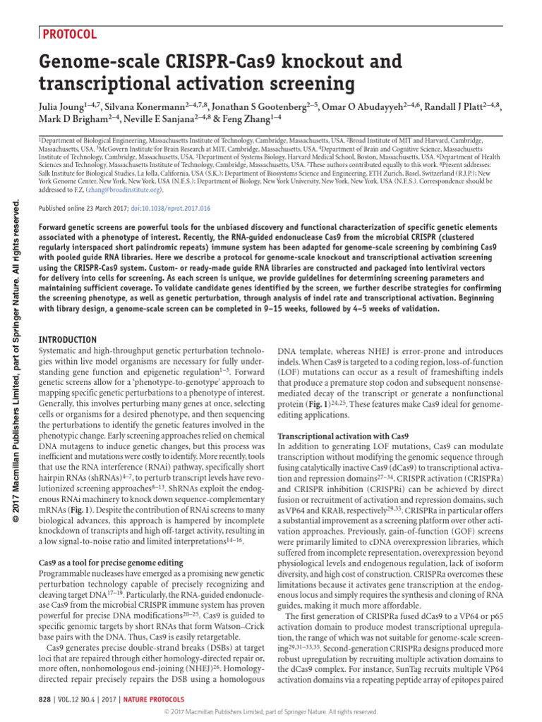 CRISPR-Cas9 Genome-Scale Screening Protocol | PDF | Gene Knockdown | Crispr