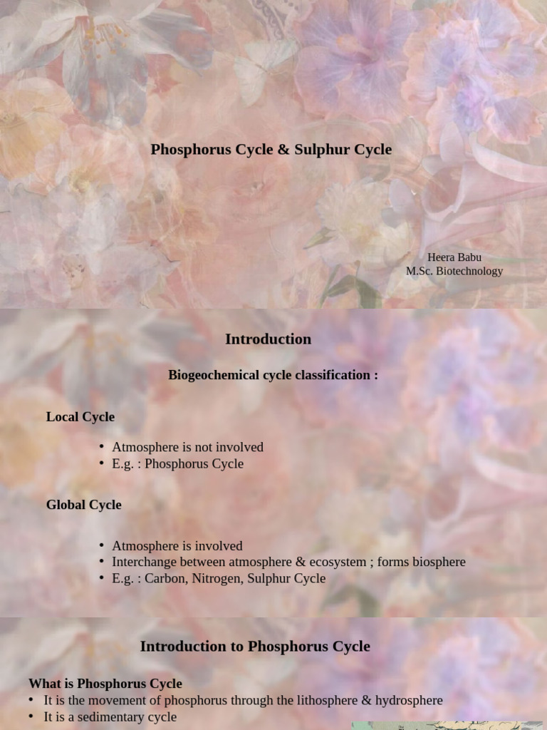 Phosphorous & Sulphur Cycle | PDF | Phosphorus | Earth Sciences