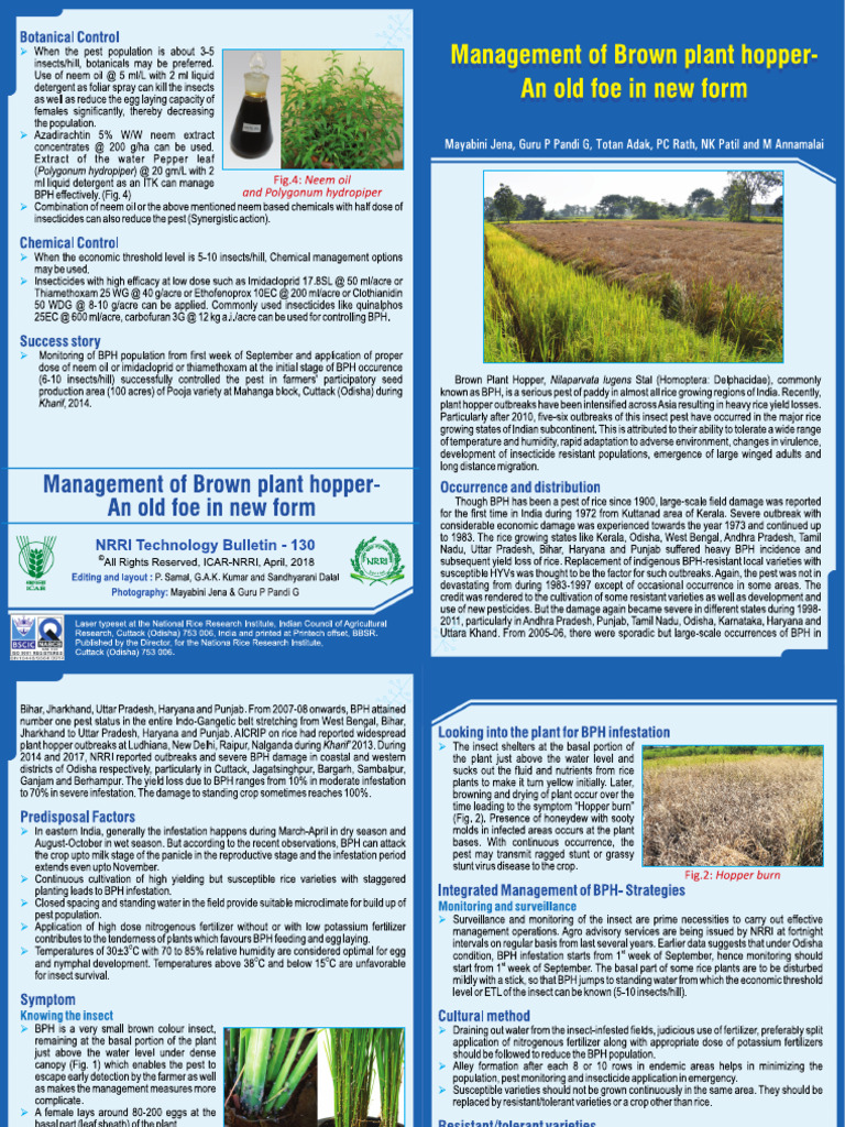 Management of Brown Plant Hopper An Old Foe in New Form 2 | PDF