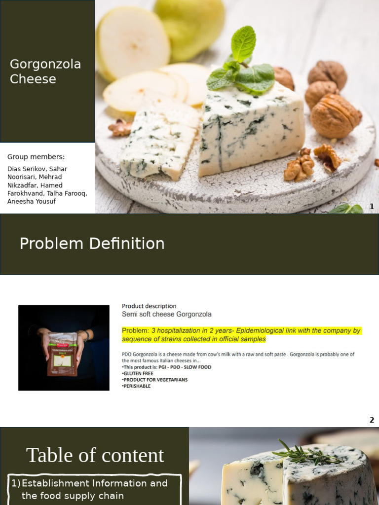 Final Microbiology Project | PDF | Cheese | Cheesemaking
