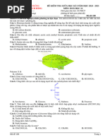 ÔN TẬP CHƯƠNG 4 -Hidrocacbon Đáp Án | PDF