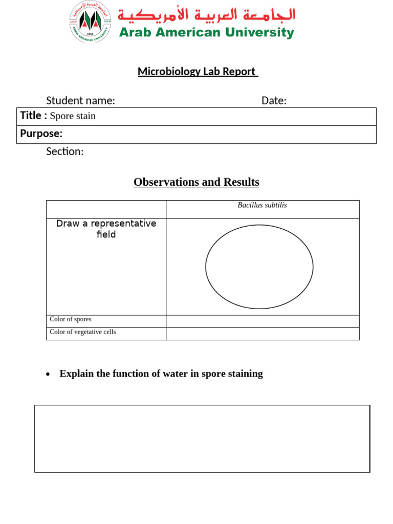 Spore Staining in Bacillus subtilis | PDF