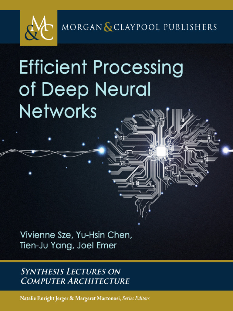 Efficient Processing of Deep Neural Networks | PDF | Deep Learning | Brain