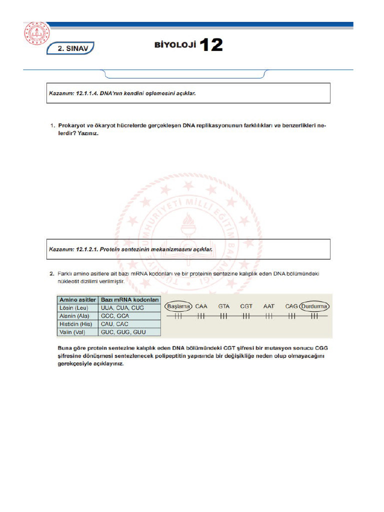 Biyo Senryo Soru | PDF