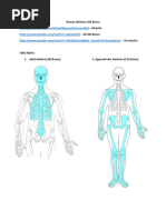 Human Skeleton All Bones Chart | PDF | Musculoskeletal System | Skeletal System