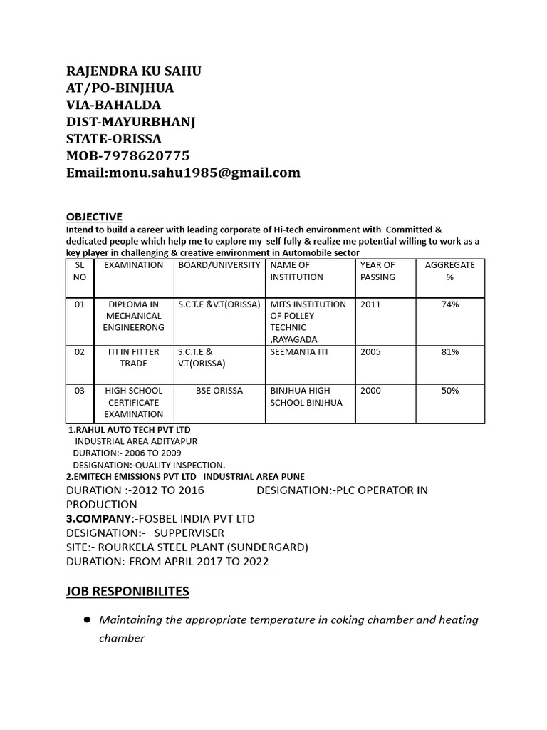 RAJENDRA RESUME | PDF | Boiler | Coke (Fuel)