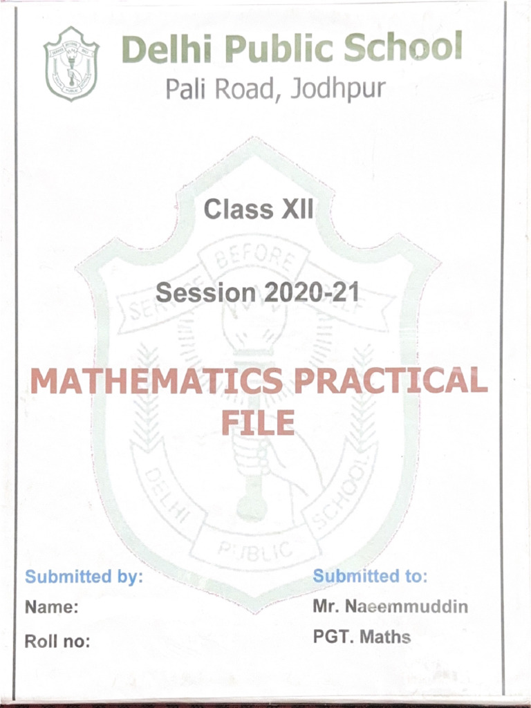 Maths Practical File | PDF
