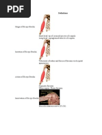 Muscle Fill in The Blank Worksheet | PDF | Joints | Soft Tissue