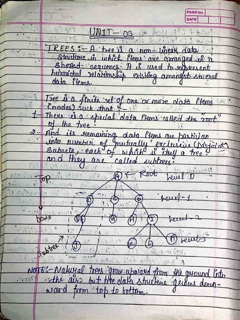 Data Structure NOTES | PDF