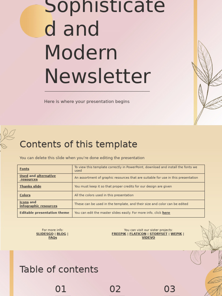 Modern Newsletter Template Guide | PDF | Icon (Computing) | Goal Setting