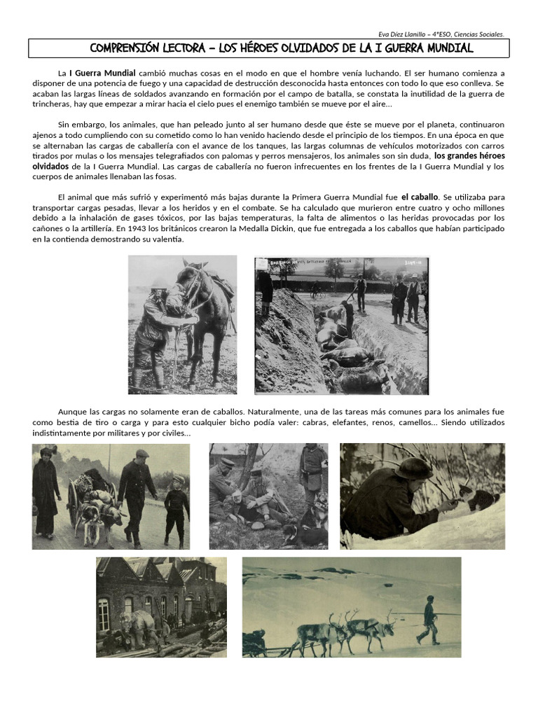 Comprensión Lectora - Los Héroes Olvidados de La IGM y Feliz Navidad | PDF | Primera Guerra ...
