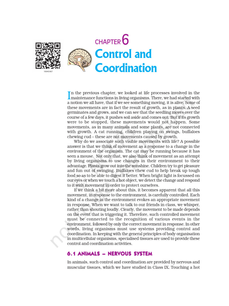 CHAP 6.pmd | PDF | Nervous System | Neuron