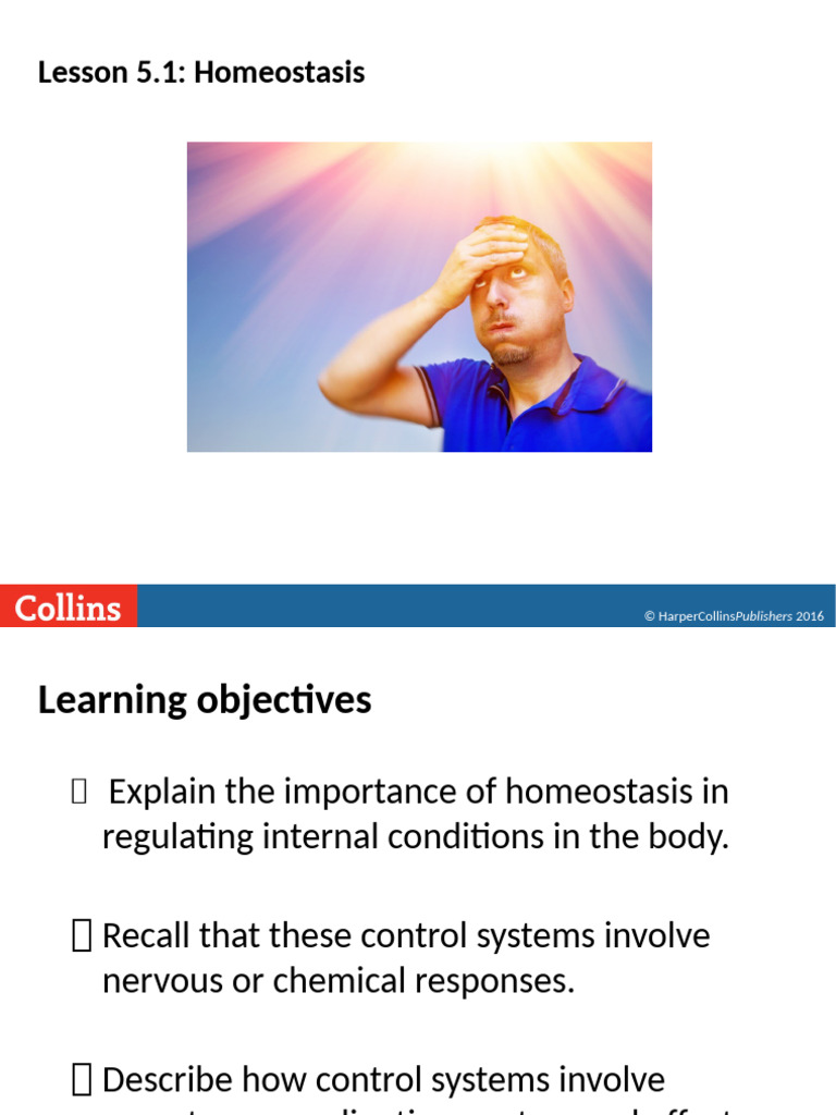Homeostasis and The Nervous System 09.09.24 | PDF | Central Nervous ...