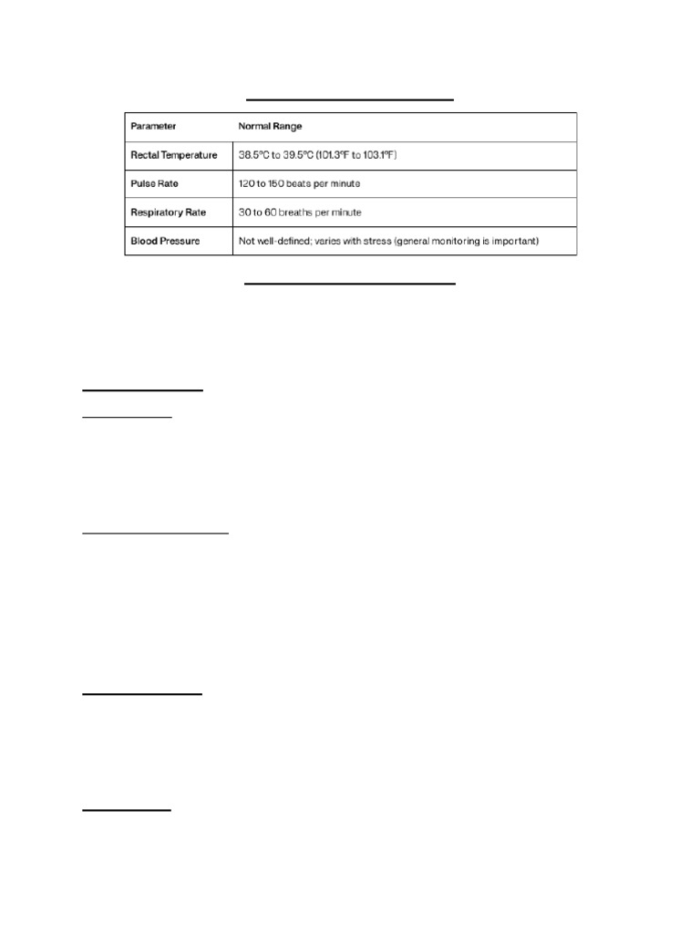 Rabbit Protocol | PDF | Electrocardiography | Bone Marrow