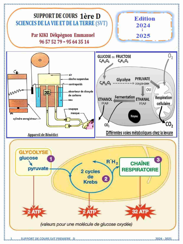 SA3 1ère D KIKI 2025 | PDF