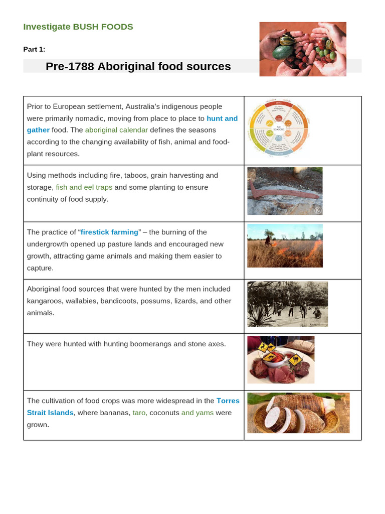 Investigate Bush Foods WS-1 | PDF | Foods | Agriculture