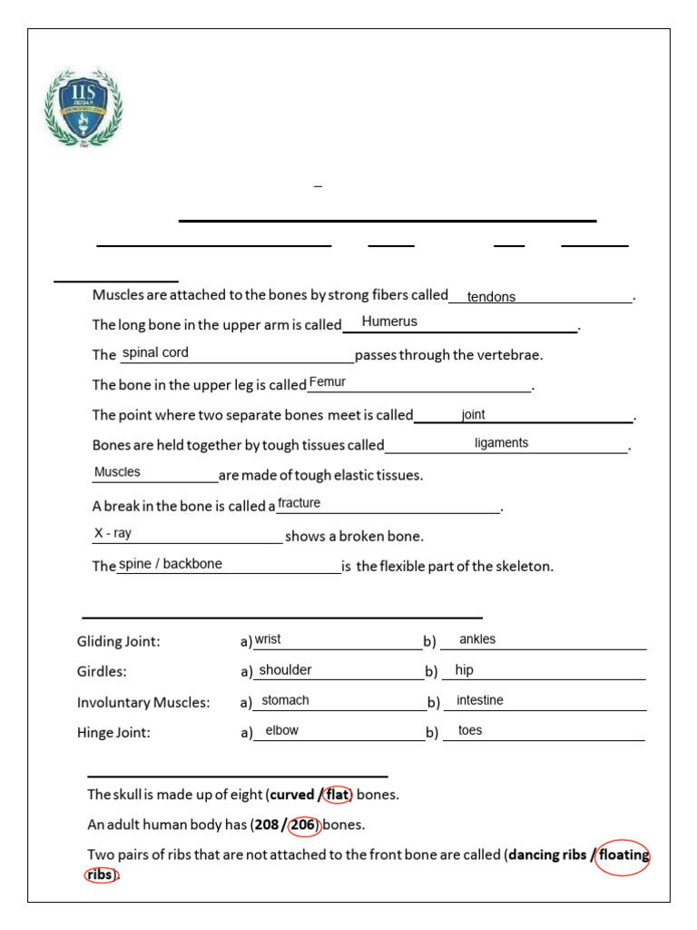 CLASS 5 PA2 ANSWER KEY | PDF | Vertebral Column | Equator