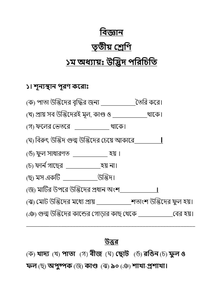 Rafeed Pro Max | PDF