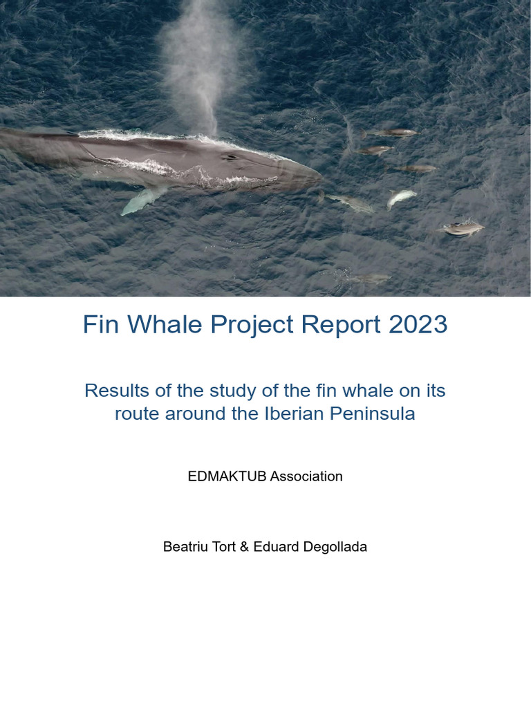 Report Fin Whale Project 2023 | PDF | Dolphin | Whales