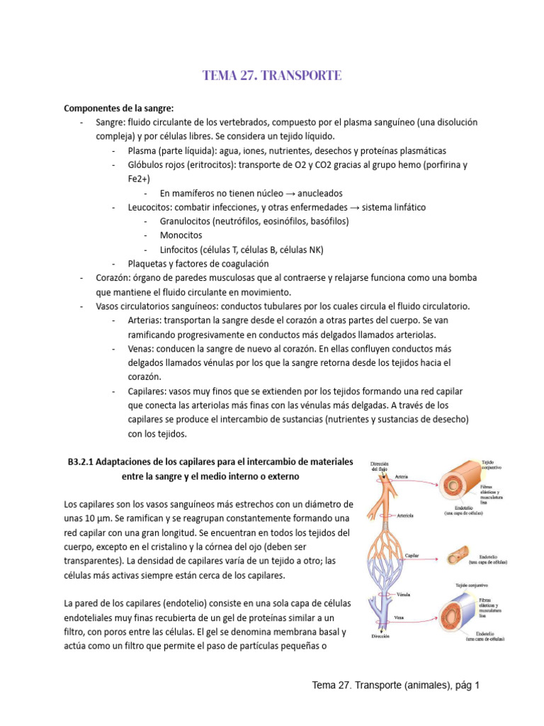 Tema 27. Transporte (animales) (1) | PDF | Corazón | Sistema circulatorio