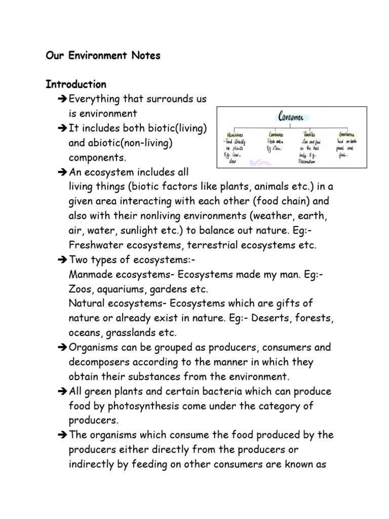 Our Environment Notes - COMPLETE NOTES | PDF | Ecosystem | Food Web