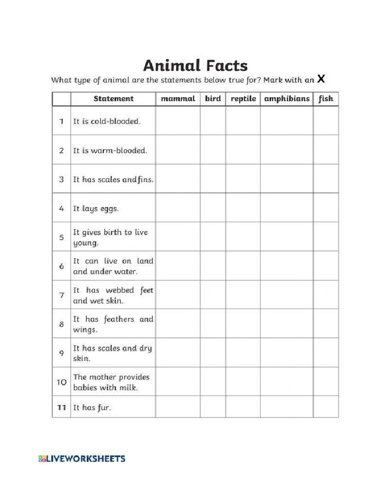 Animal fact worksheet | PDF