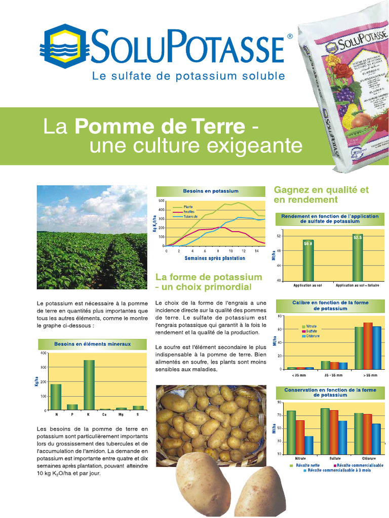 Fiche Technique Solupotasse | PDF