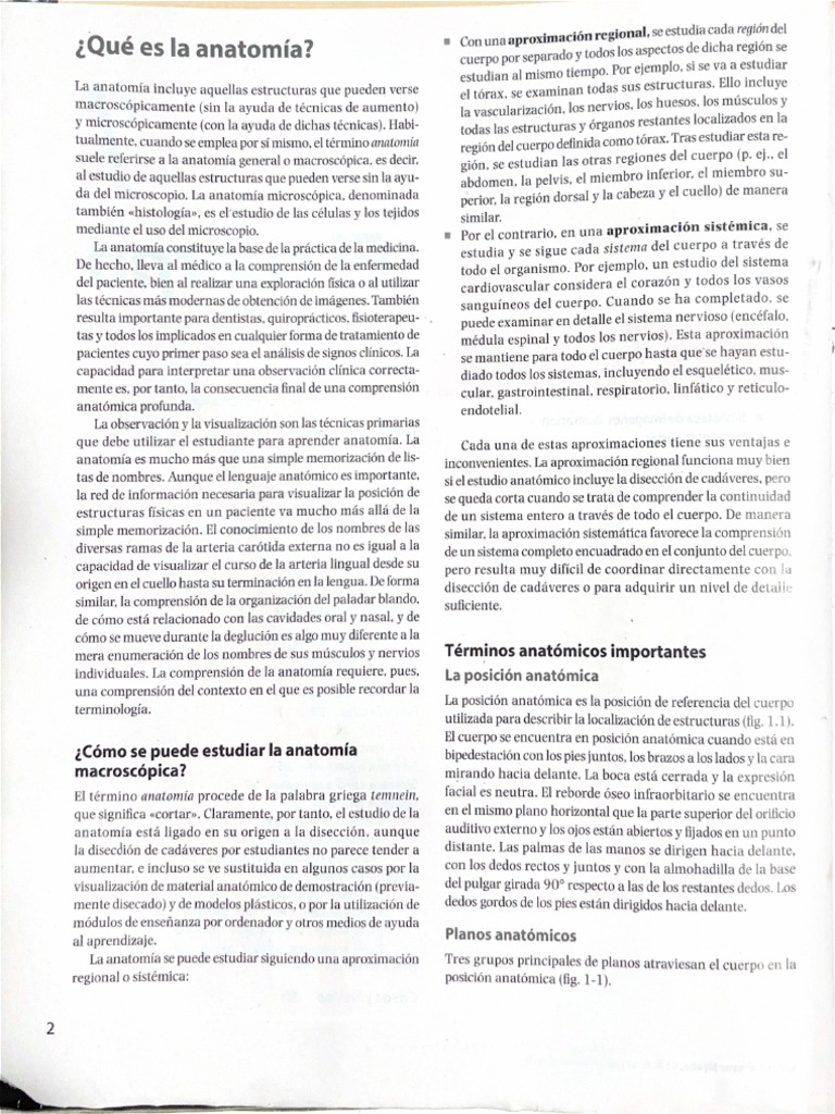 ¿Qué Es La Anatomía | PDF