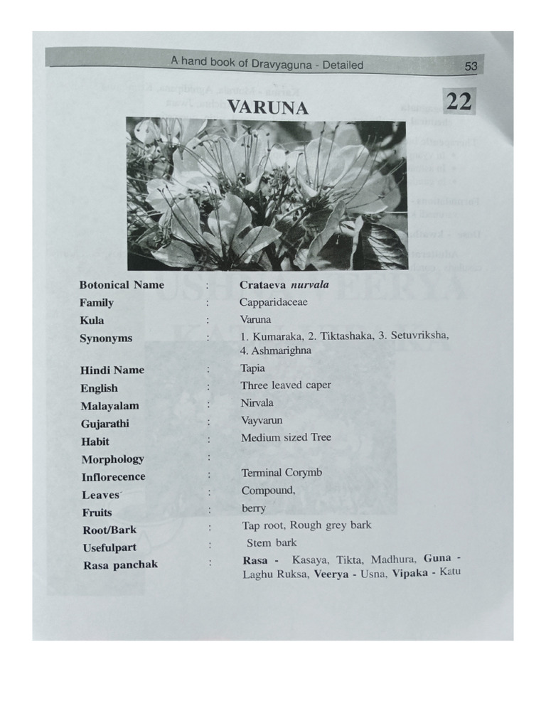 Varuna | PDF