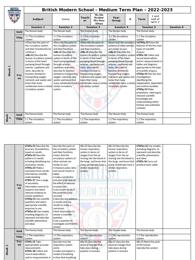 BMS MTP y6 - Science | PDF | Rock (Geology) | Sedimentary Rock