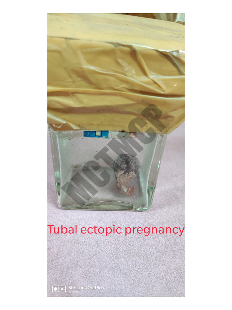 OBGY Specimens | PDF