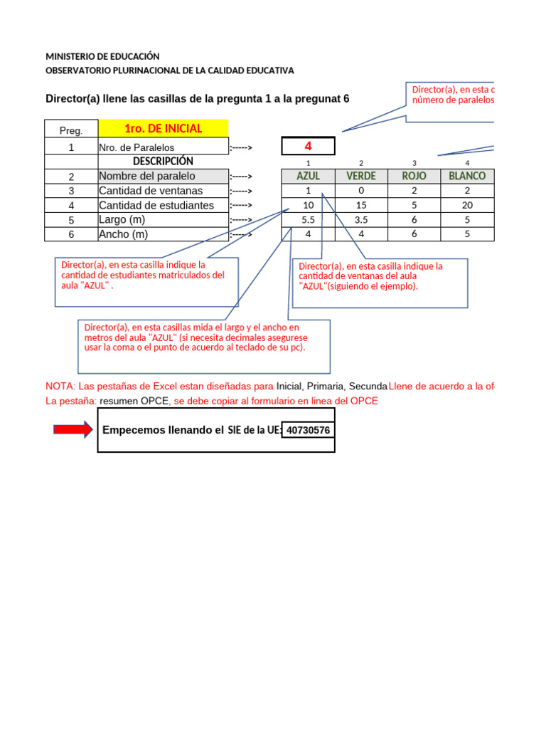 40730576 Formulario OPCE | PDF