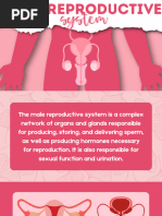 Anatomy and Physiology of Bull Reproductive System | PDF | Testicle ...
