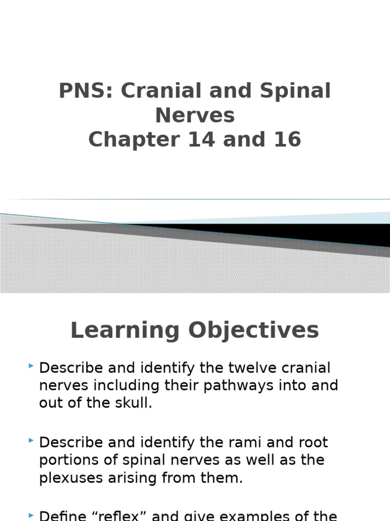 16 - Bio 5 Ch. 16and14 PNS-1 - Tagged | PDF | Human Anatomy | Nervous System