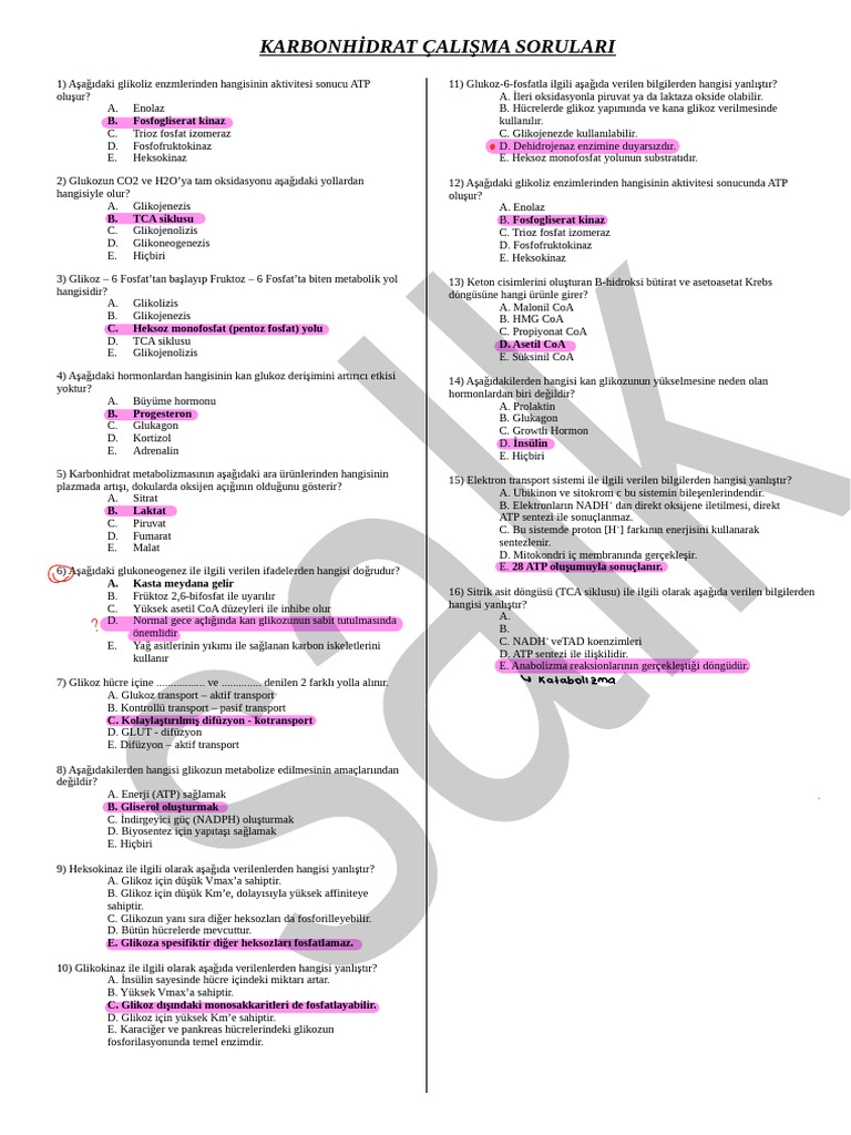 Karbonhidrat - Biyokimya II (2) - 1 | PDF