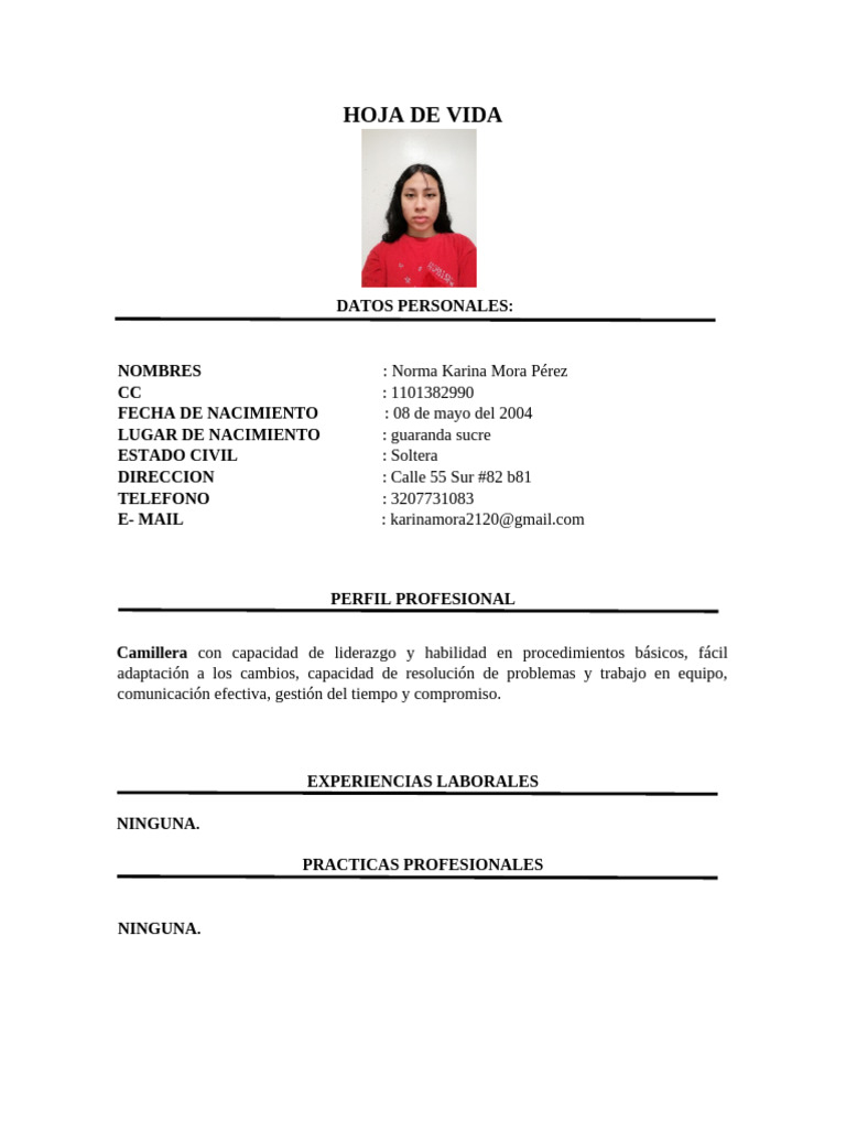 Hoja de Vida - Norma Karina Mora Perez | PDF