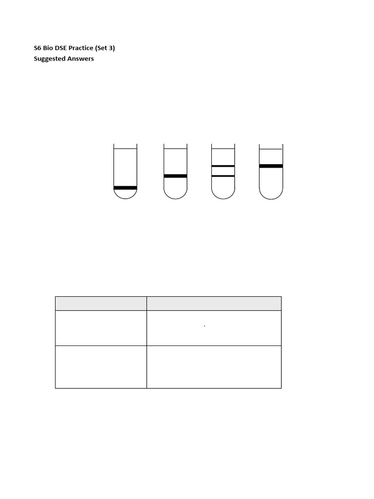 S6 Bio DSE Practice (Paper 1) Set 3 Ans | PDF | Dna | Enzyme