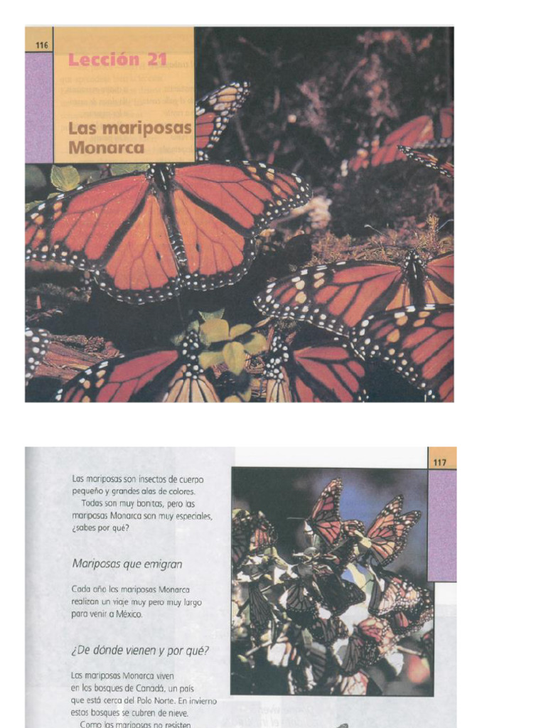 Las Mariposas Monarca | PDF