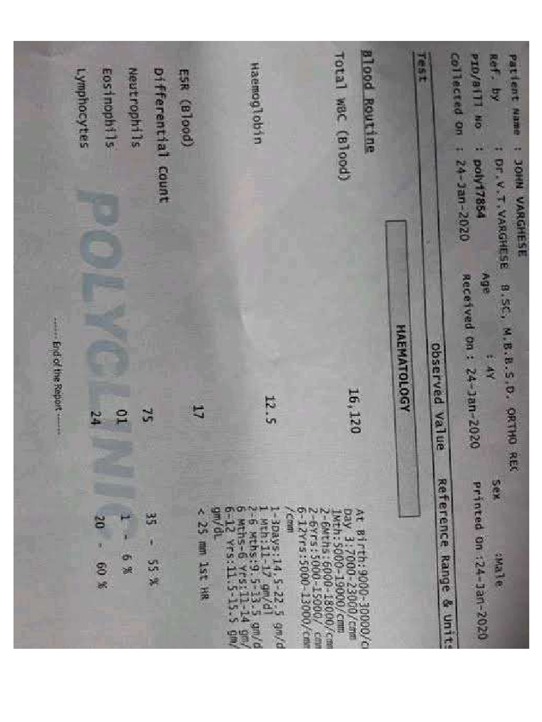 PDF Blood Injection Report - Compressed | PDF