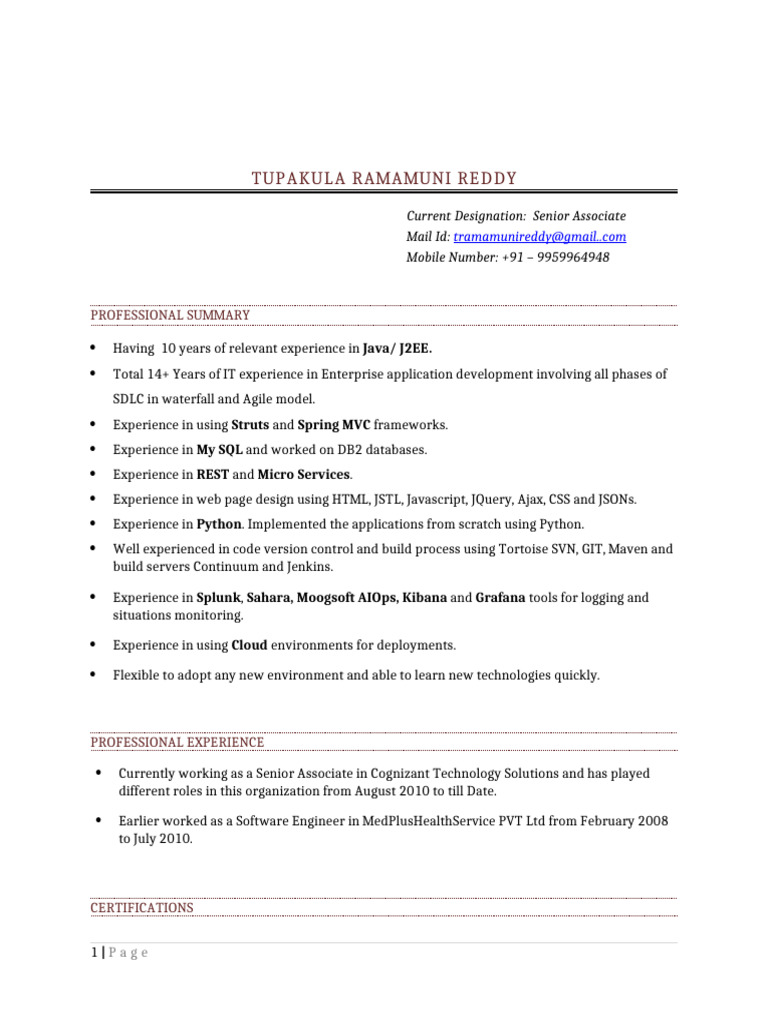 Senior Java Developer Resume Summary | PDF | Ibm Db2 | World Wide Web
