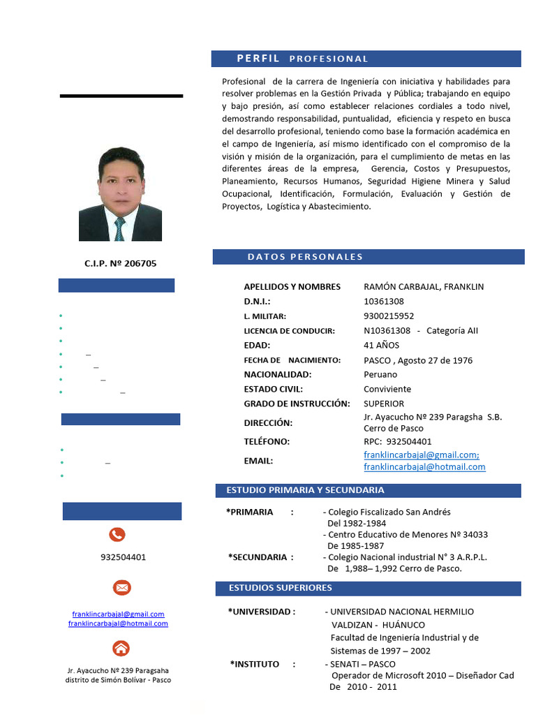 Curriculum FranKlin Ramón | PDF | Perú | Minería