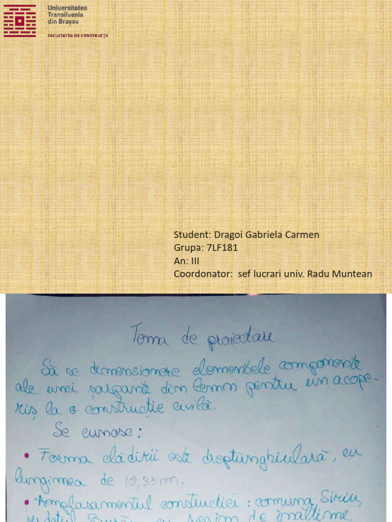 Proiect Final Lemn | PDF